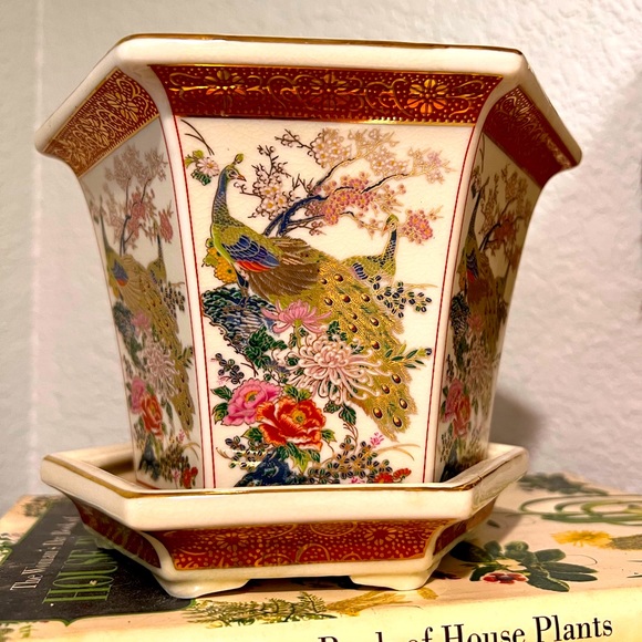 Satsuma | Other | Satsuma Planter | Poshmark